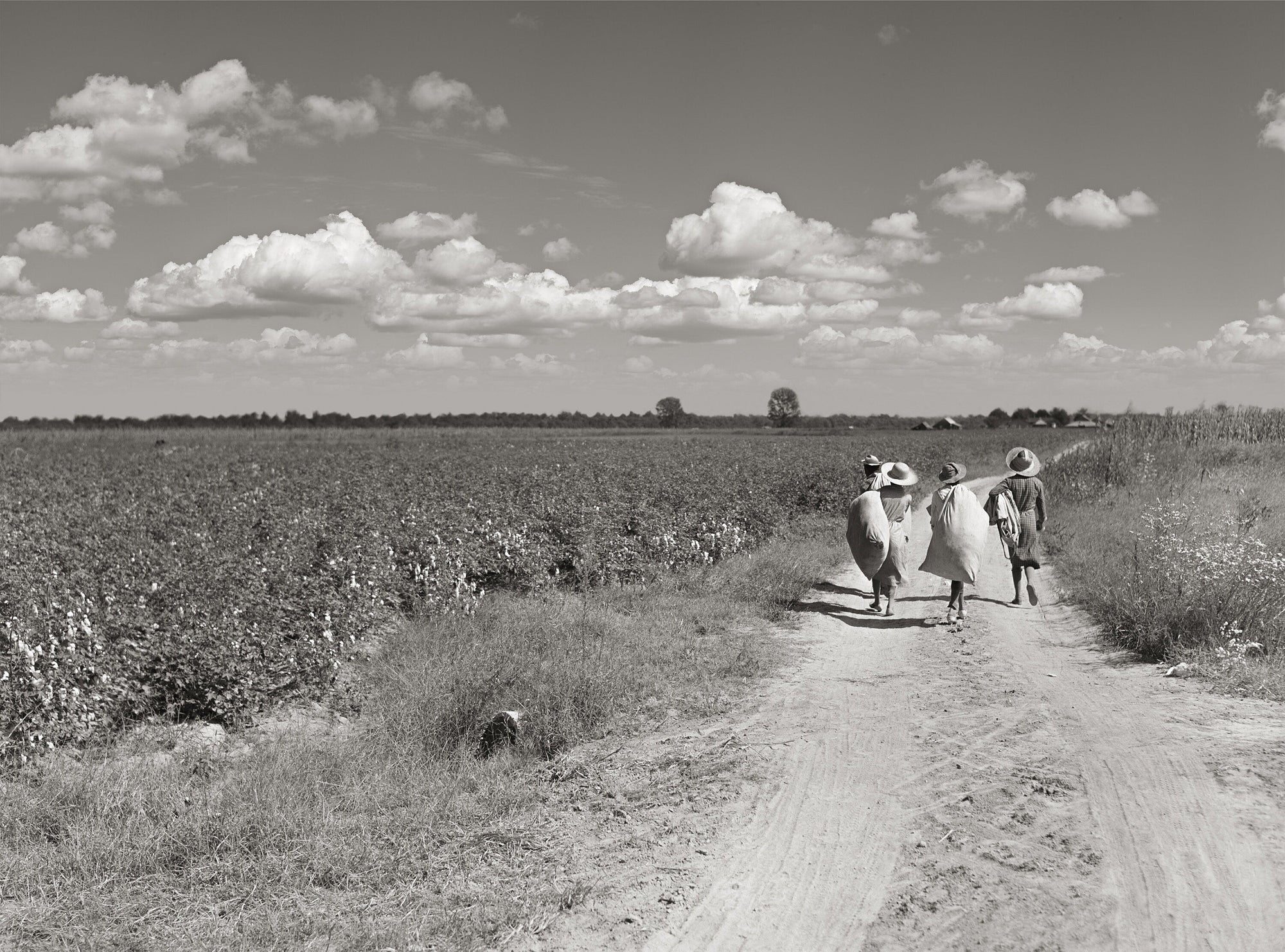 Cotton pickers in Mississippi Delta, Marion Post Wolcott, 1939 ...